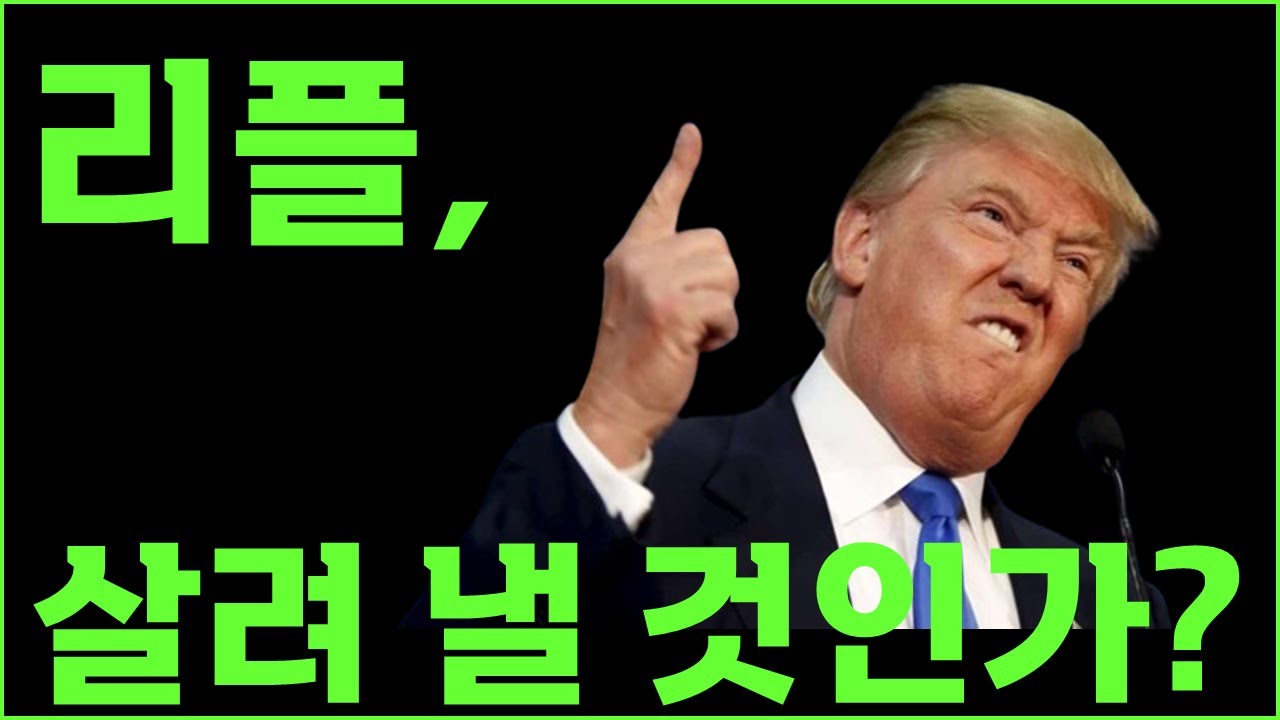 리플 과연 그는 살려낼 수 있을까 리플은 어디로 갈까 리플가격 리플전망 Youtube