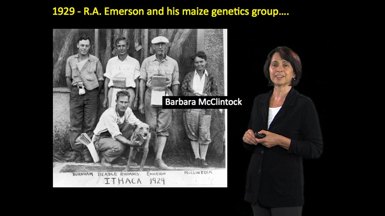 Susan Wessler (UC Riverside) Part 1: Introduction to transposable ...