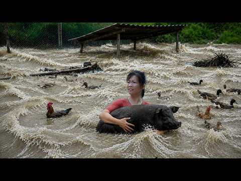 Full video: 90 days of Hân's new life building and developing a farm