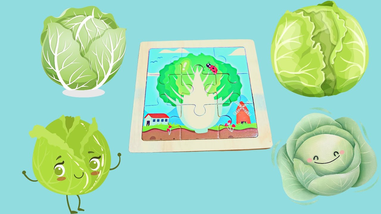 Assemble a Green Cabbage Puzzle [ Merakit Puzzle bergambar Kubis Hijau ...