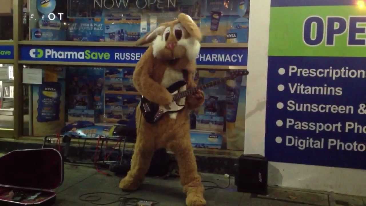 Rabbit plays bass guitar - YouTube