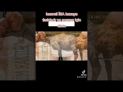 hazreti İSA'nın koyun ile konuşması