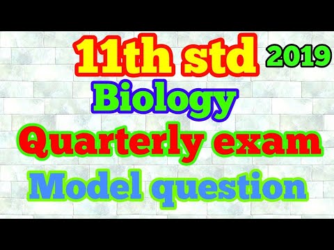11th biology quarterly exam model question paper 2019 - YouTube