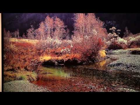 Ilfochrome / Cibachrome in Moscow - Part 3 - YouTube