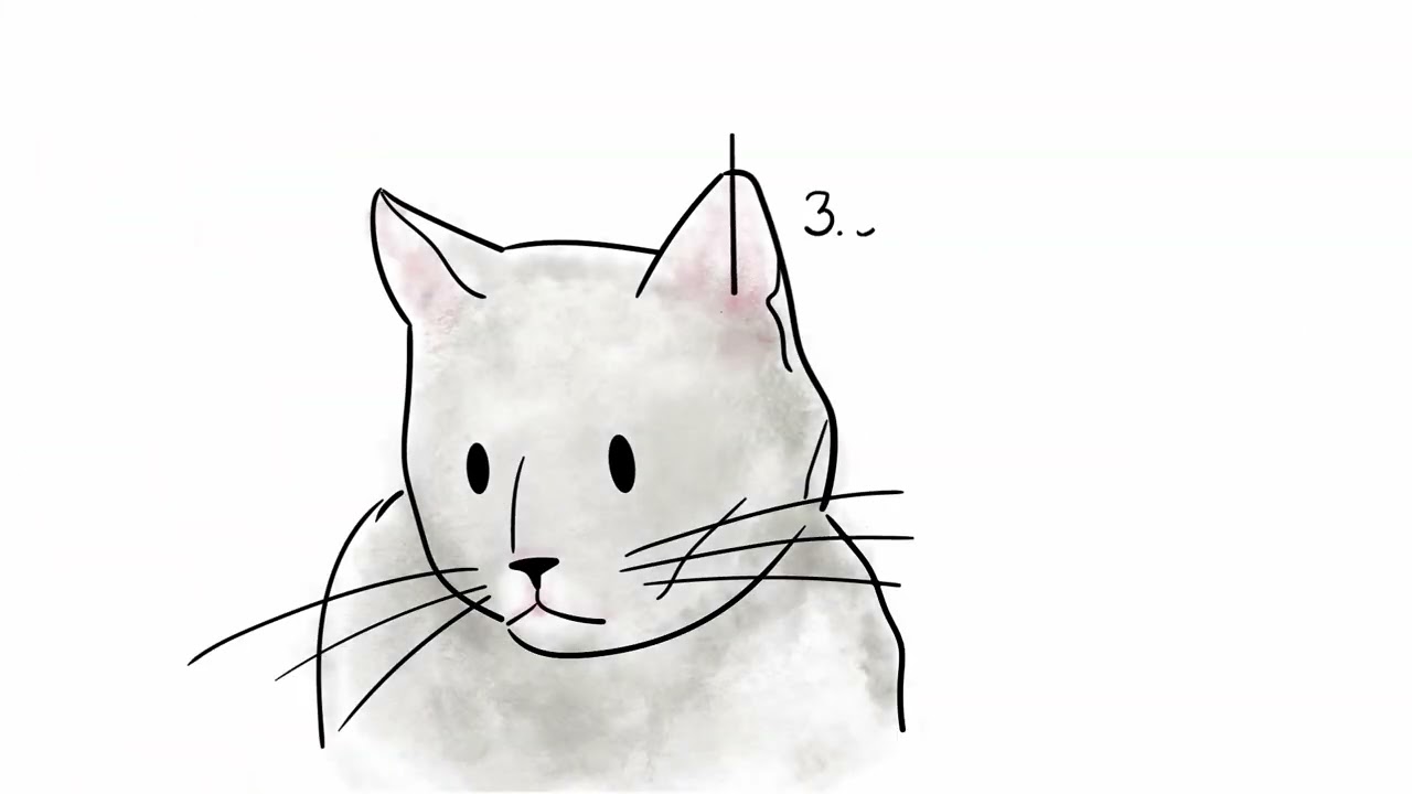 How To Apply Mirataz - Canada - YouTube