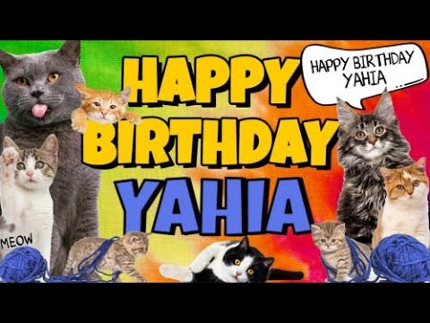 Funny Happy Birthday Yahia Song Epic Talking Cats What Is Free On My ...