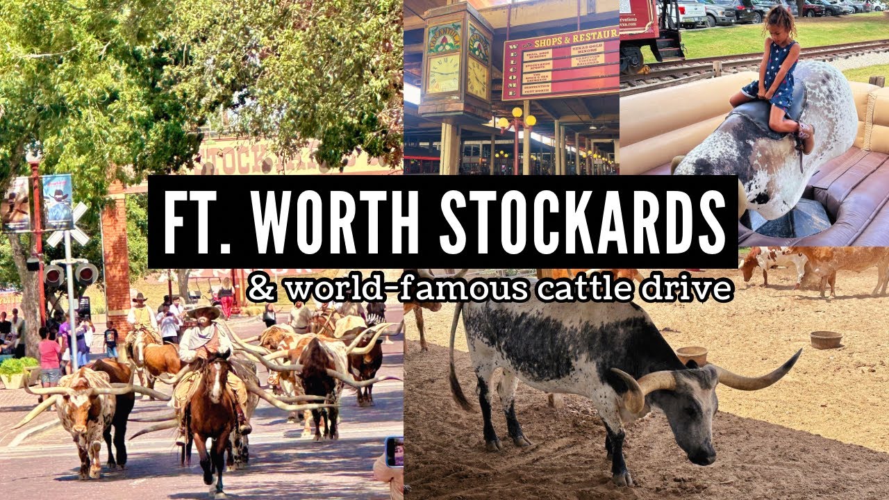 FORT WORTH STOCKYARDS + CATTLE DRIVE - YouTube