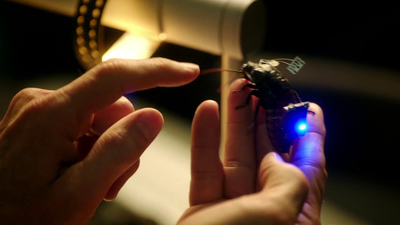 Remote Control Cockroaches - CSI Cyber - YouTube