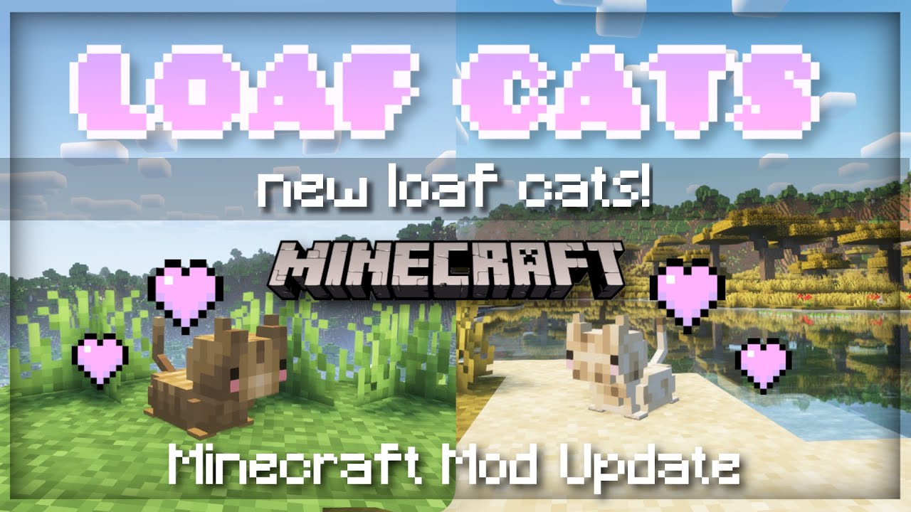 Loaf Cats Minecraft Mod Update - new loaf cats + settings!! - YouTube