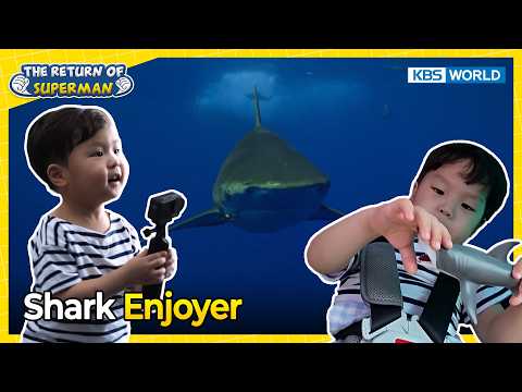 The Excitement in Jungwoo's Eyes🦈 [The Return of Superman:Ep.619-2] | KBS WORLD TV 260510
