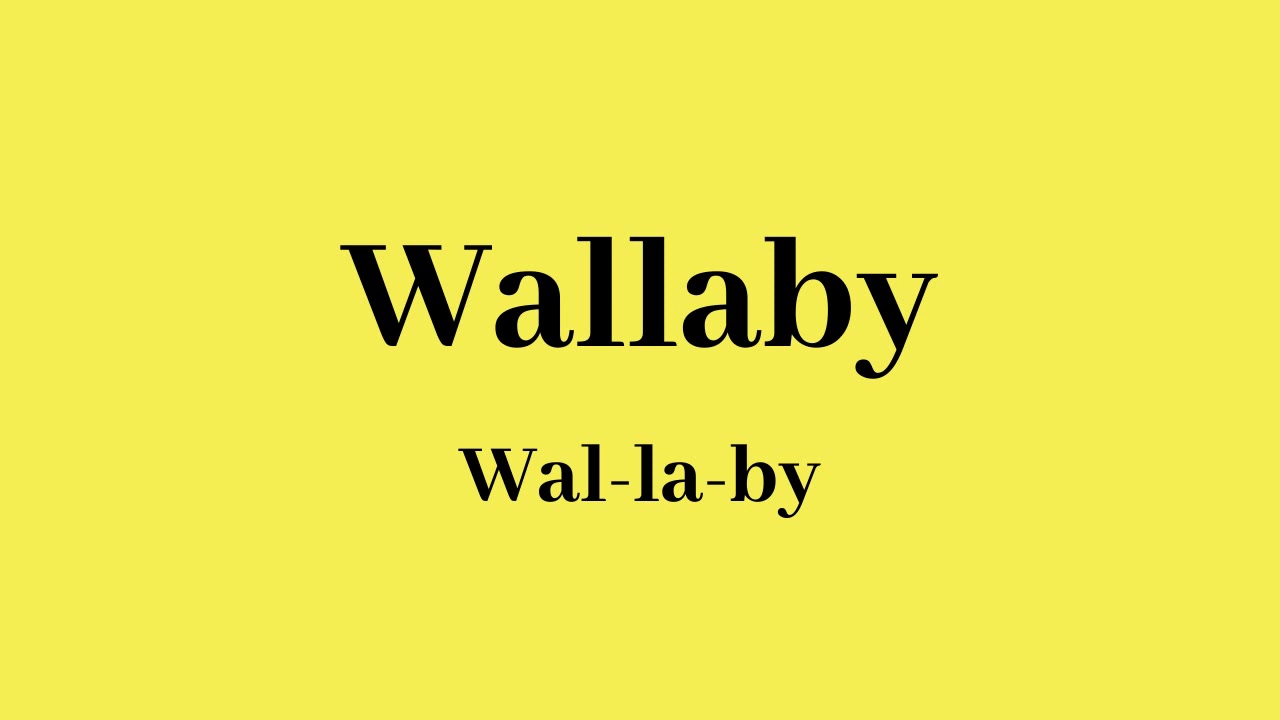 How to Pronounce Wallaby - YouTube