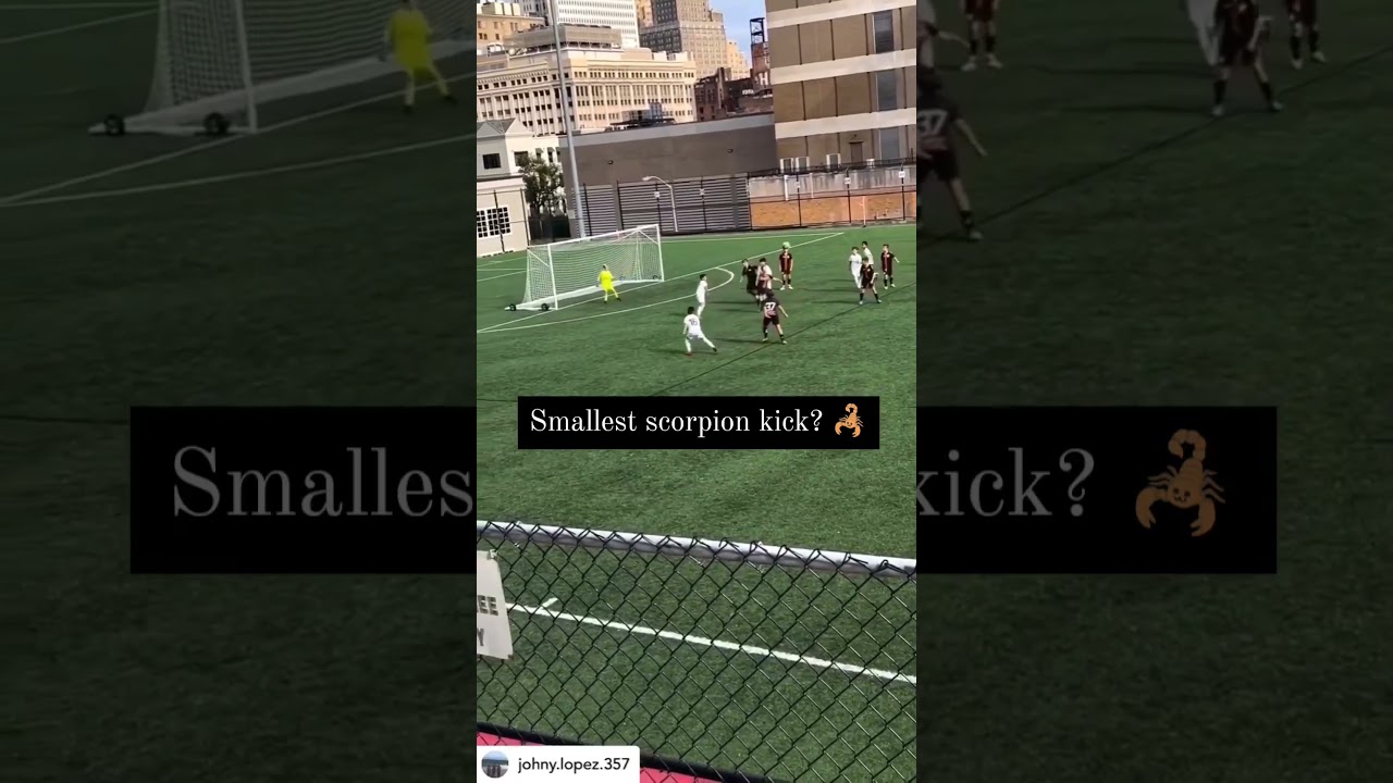 Rene Higuita Scorpion Kick Gif