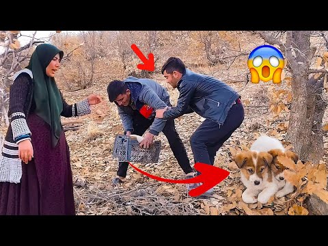 Intense conflict and the theft of Sadegh's dogs