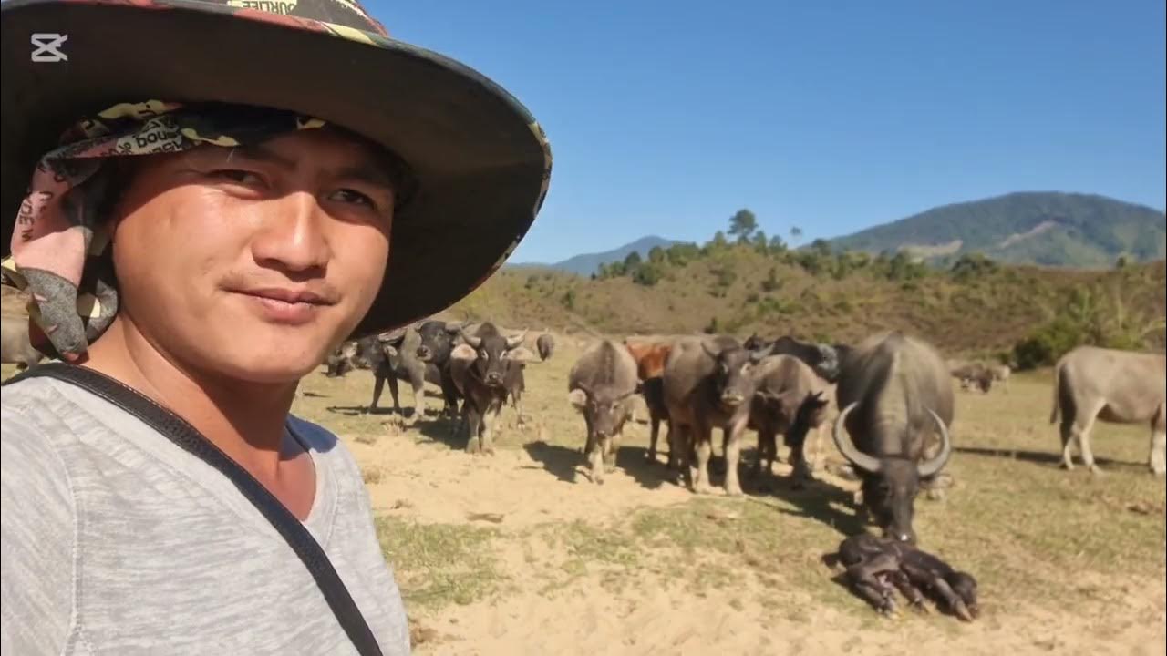 Saib maum twm xya me nyuam loj zoo nkauj kawg 5/1/2025 - YouTube