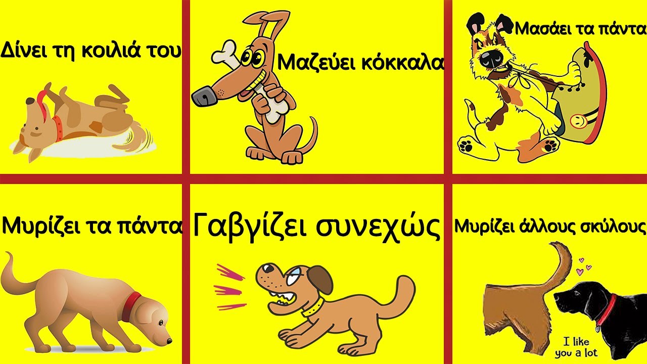 23 ακόμη πιο περίεργες συμπεριφορές του σκύλου σας και τι σημαίνουν ...