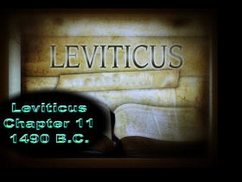 Leviticus Chapter 11 - YouTube
