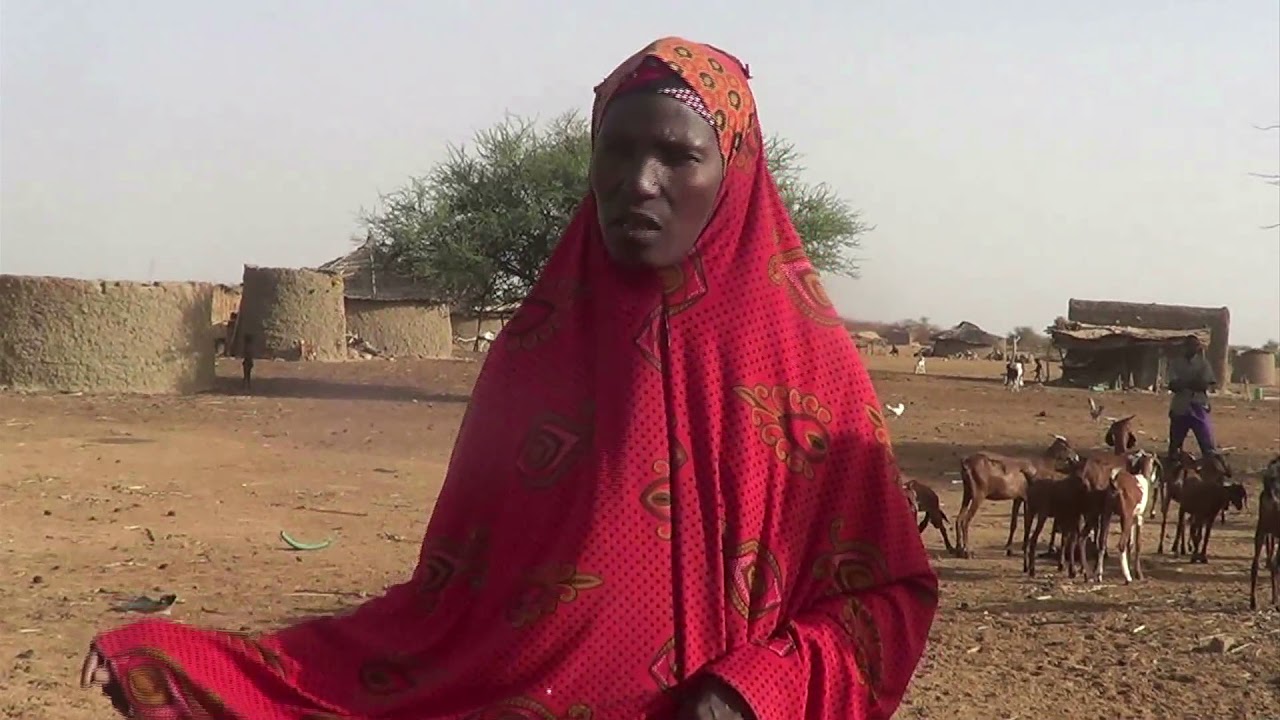 APTE reconstitution du cheptel Wassega Chèvre Rousse en Haoussa. - YouTube