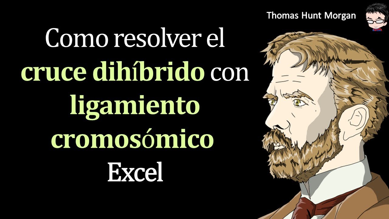Como resolver el 𝐜𝐫𝐮𝐜𝐞 𝐝𝐢𝐡í𝐛𝐫𝐢𝐝𝐨 con 𝐥𝐢𝐠𝐚𝐦𝐢𝐞𝐧𝐭𝐨 𝐜𝐫𝐨𝐦𝐨𝐬ó𝐦𝐢𝐜𝐨 Excel - YouTube
