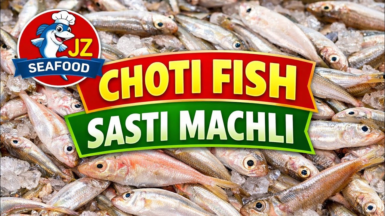 Today Karachi Fish Market | Dam Mandi Choti Fish Rates | Sasti Machli ...