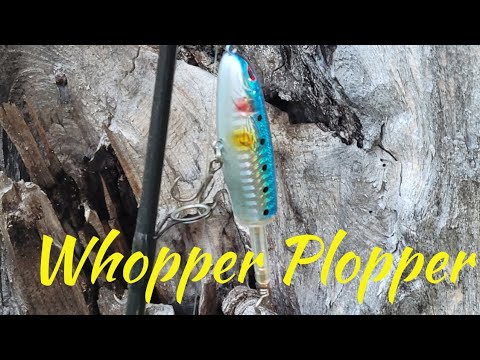 Whopper Plopper Fishing - YouTube