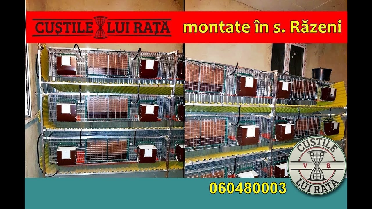 Custile lui Rata - în satul Răzeni, Ialoveni (16.01.2018) - YouTube