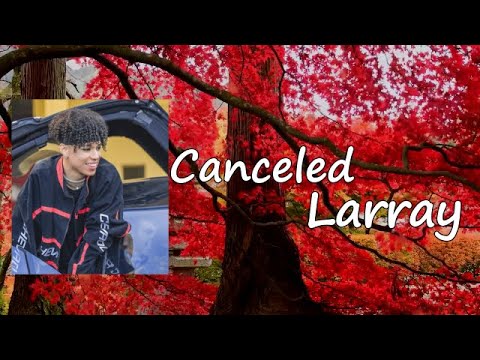 Larray - Cancelled Lyrics - YouTube