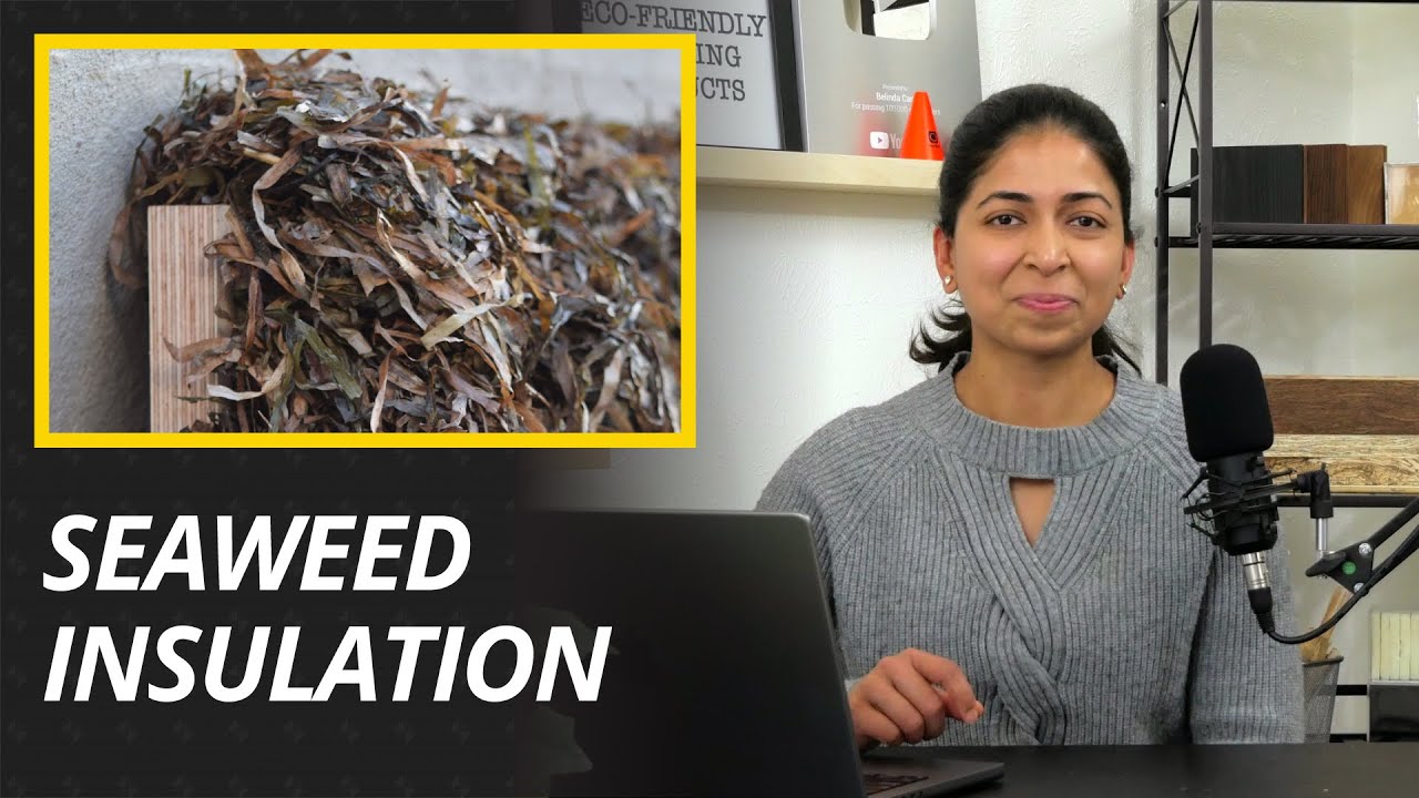 Radio City Music Hall has Seaweed Insulation?! - YouTube