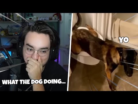 Bigpuffer Reacts to THE MOST CURSED Memes On The Internet...
