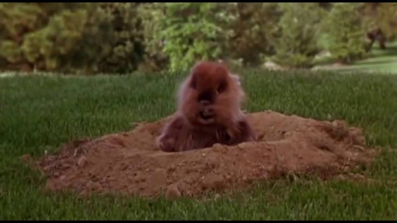 Caddyshack Gopher Dance
