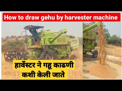 हार्वेस्टर ने गहू काढणी कशी केली जाते/How to draw gehu by harvester ...