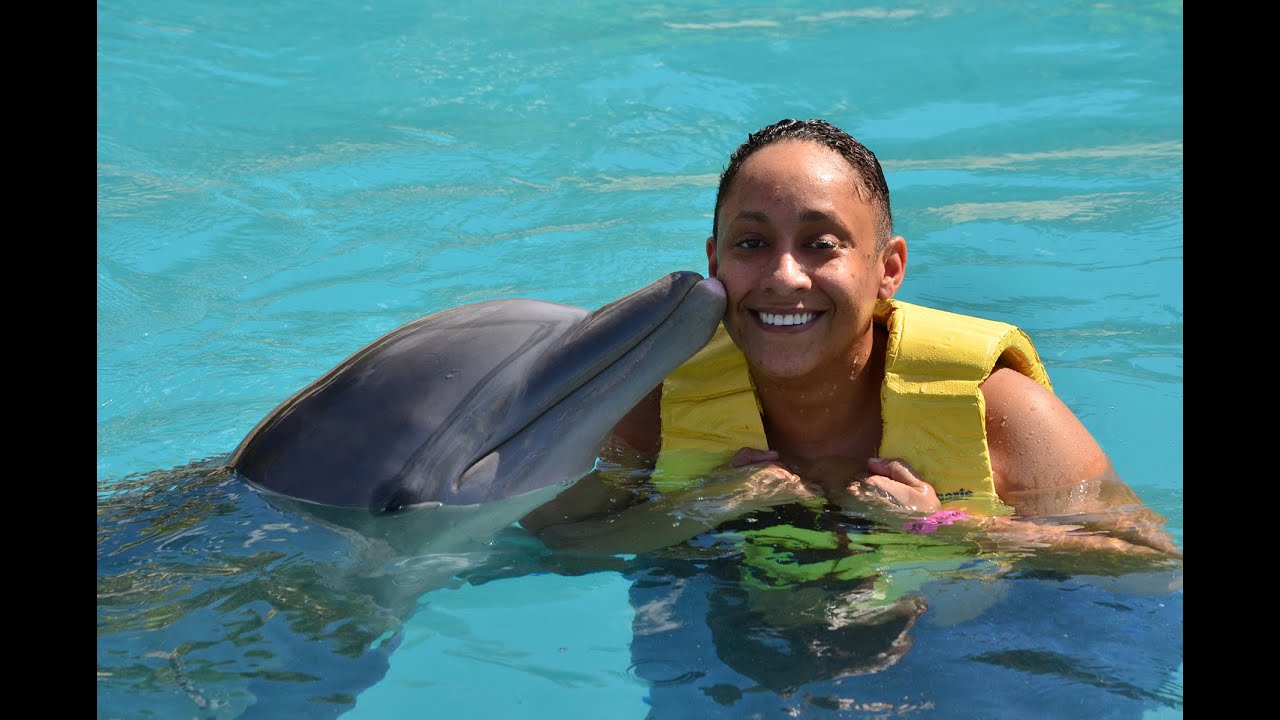 Dolphinaris Cozumel - YouTube