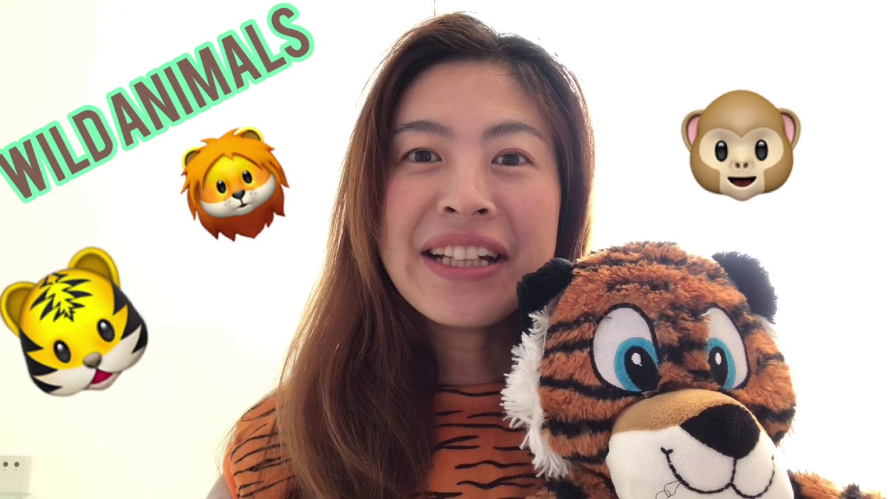 Learn wild animals in Mandarin Chinese中文动物 - YouTube