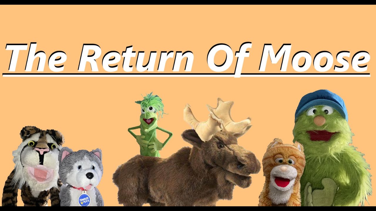 The Return Of Moose!? - YouTube