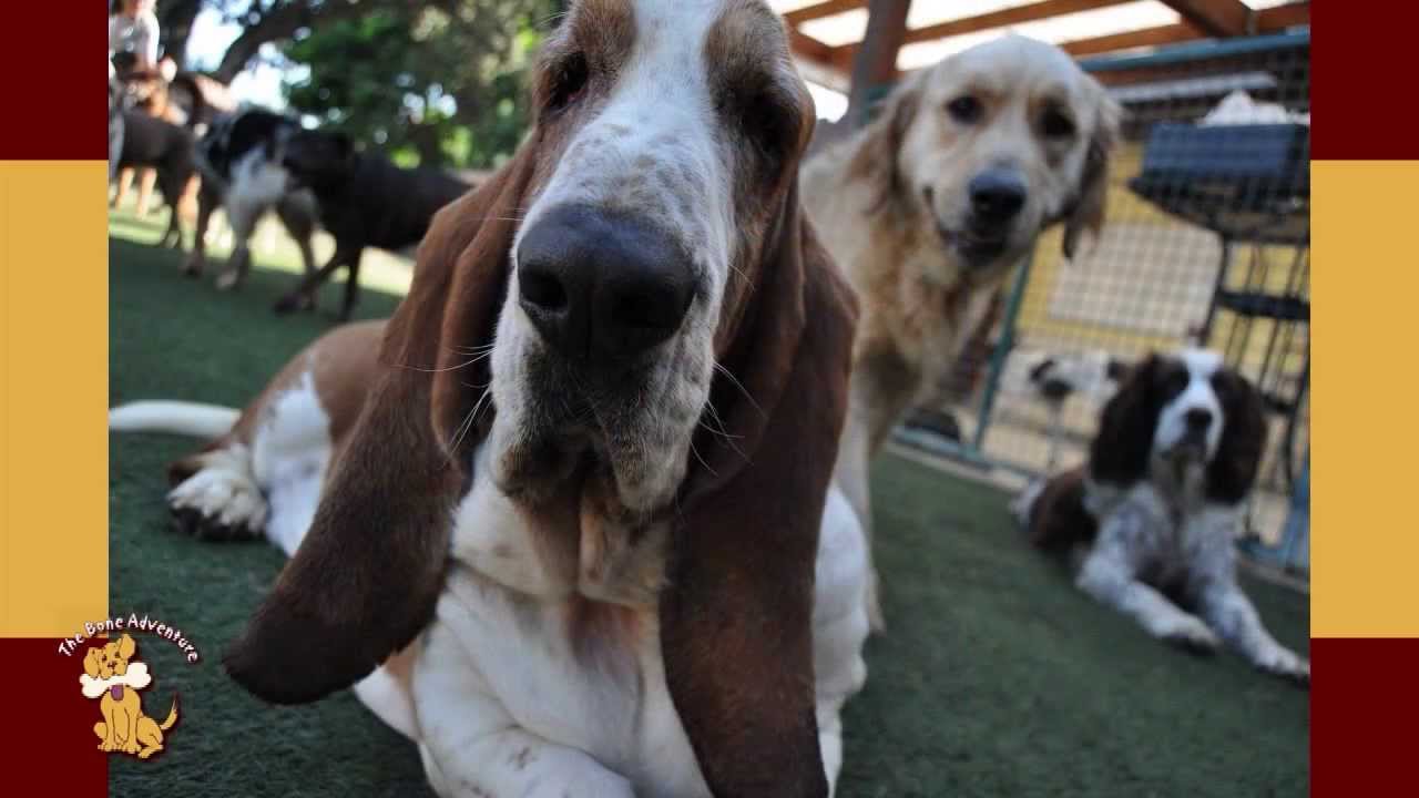 George Orlando Farewell Video - YouTube