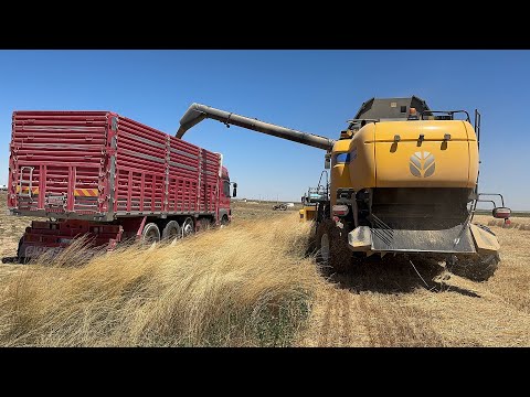 Türkiyedeki en büyük biçerdöver new holland cx8.80