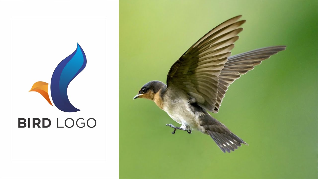 How to create bird logo design | coreldraw par logo kaise banaye ...