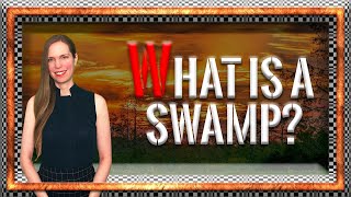 What Is A Swamp? 5 Things You Need To Know