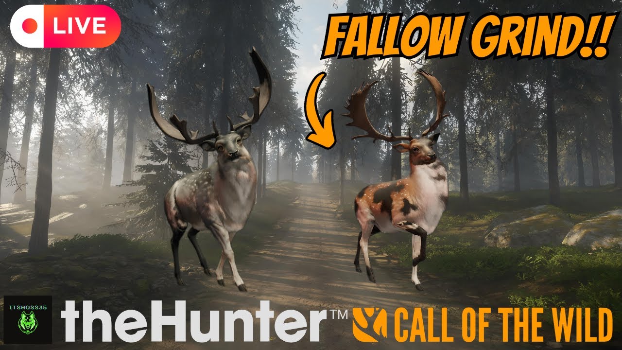 Spawning Fallow Deer G1??!! | theHunter: Call of the Wild - YouTube