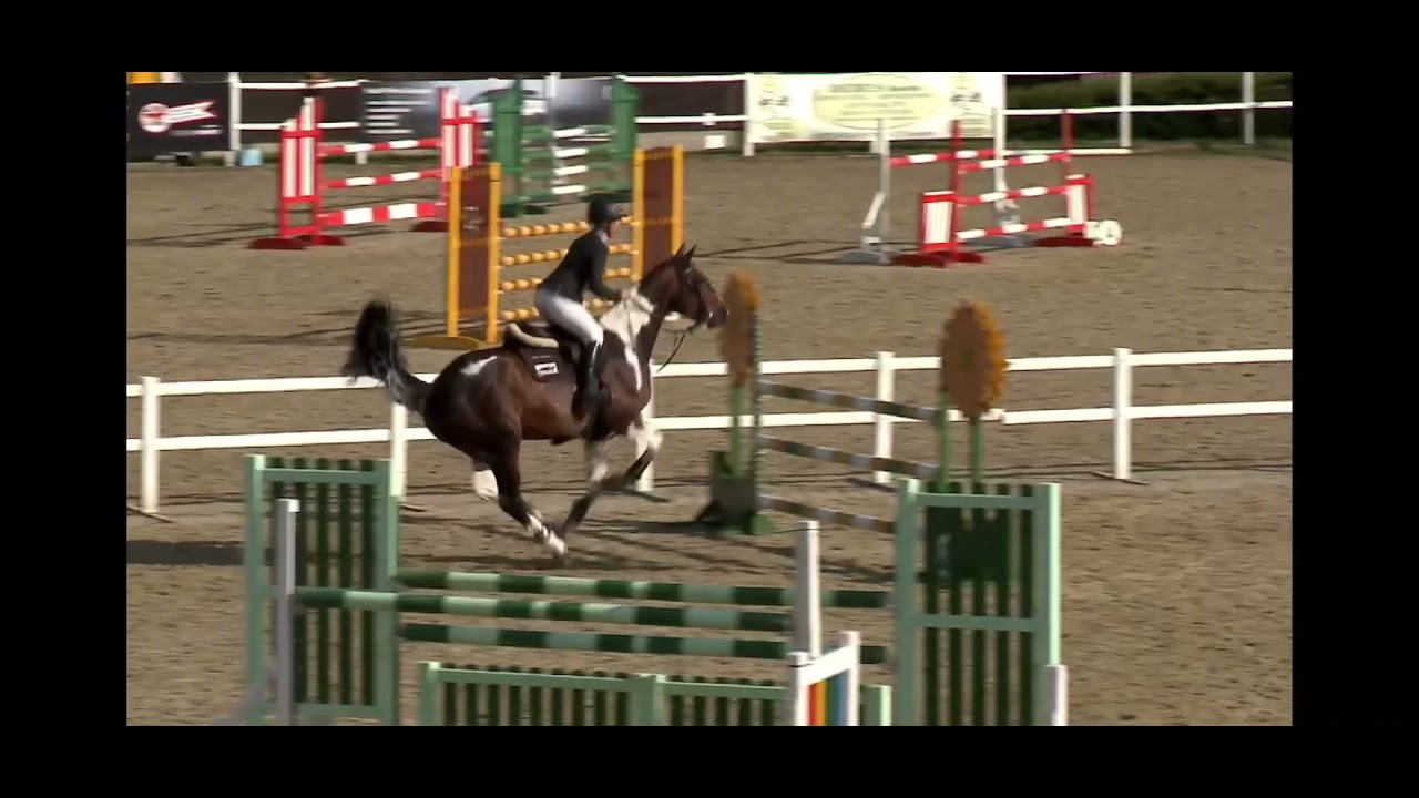Hamberlins Charmer Foxhunter - YouTube