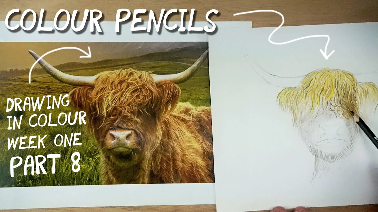 8. Working on the head - "Drawing in colour" - Week One - YouTube