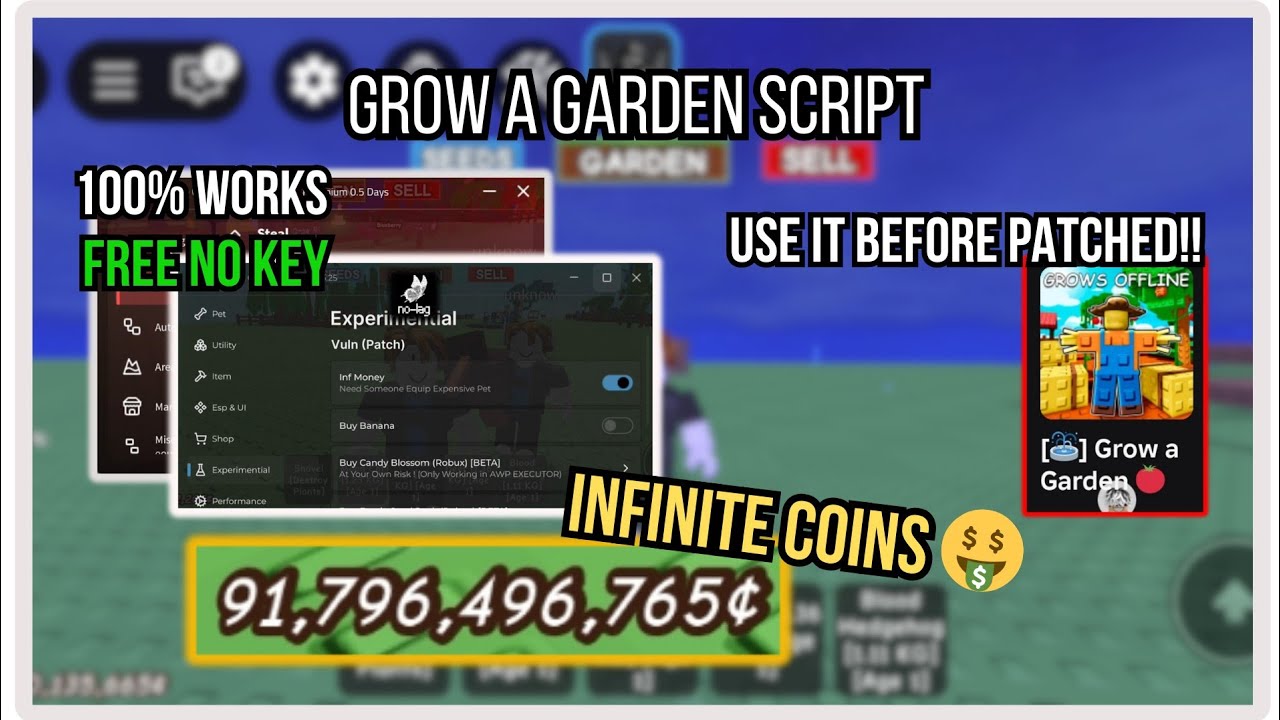 MOST OP SCRIPT INFINITE COINS INSTANTLY TRILLIONARE IN 1 MINUTES ...