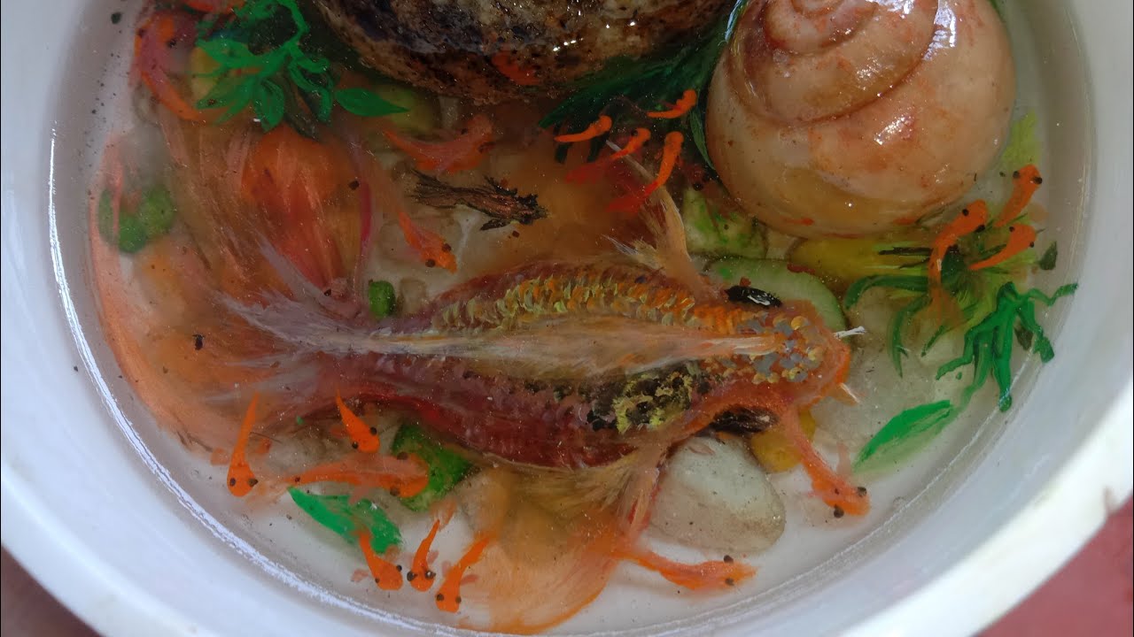 EPOXY RESIN FISH BOWL ️ COMPLETE PROCESS - YouTube