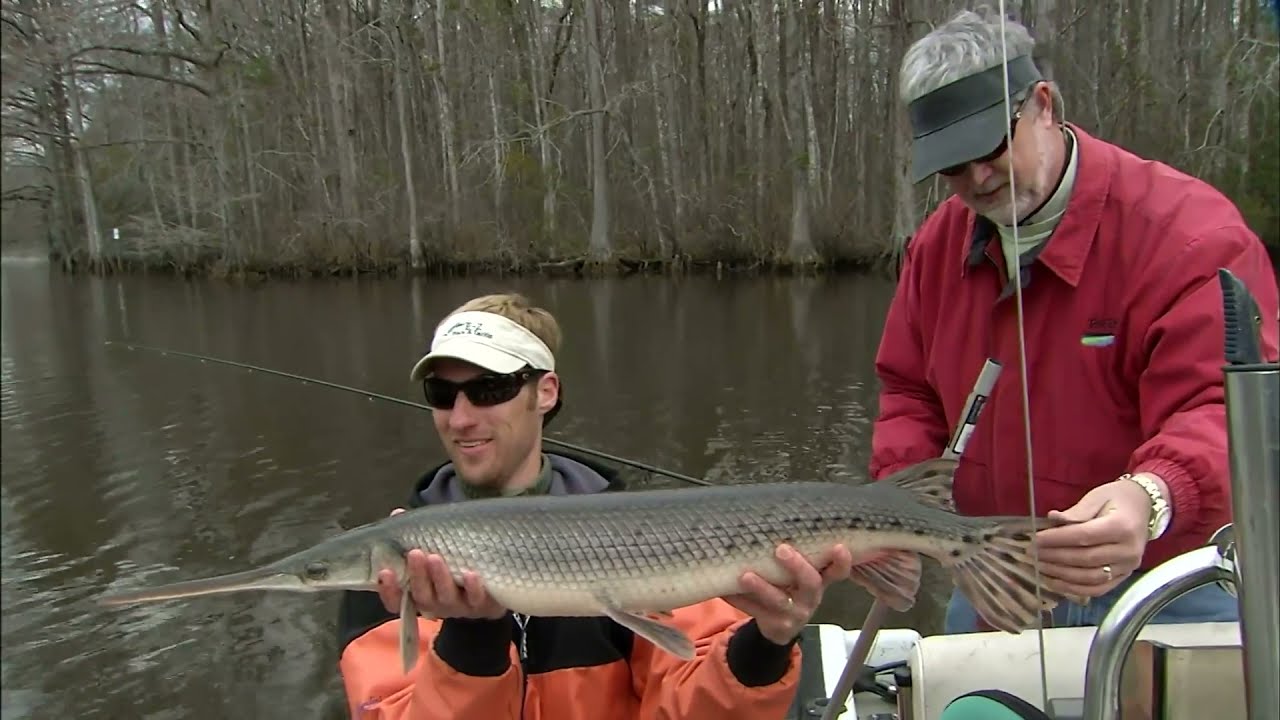 Catching Gar In The Winter On The Fly - YouTube