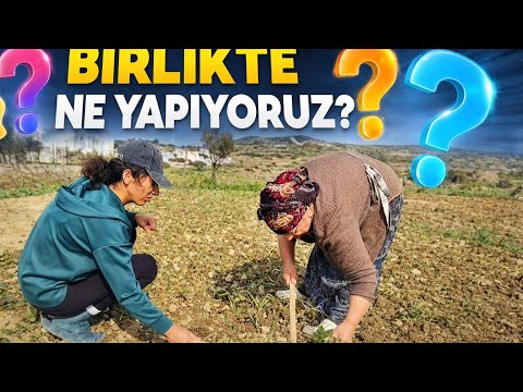 ​🚜 ÇEŞME'DE ANNE KIZ EL ELE! Bahçeyi Karadeniz Usulü Çapa Yapımı