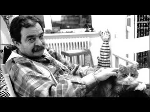 ZİLİF-Oruç Aruoba