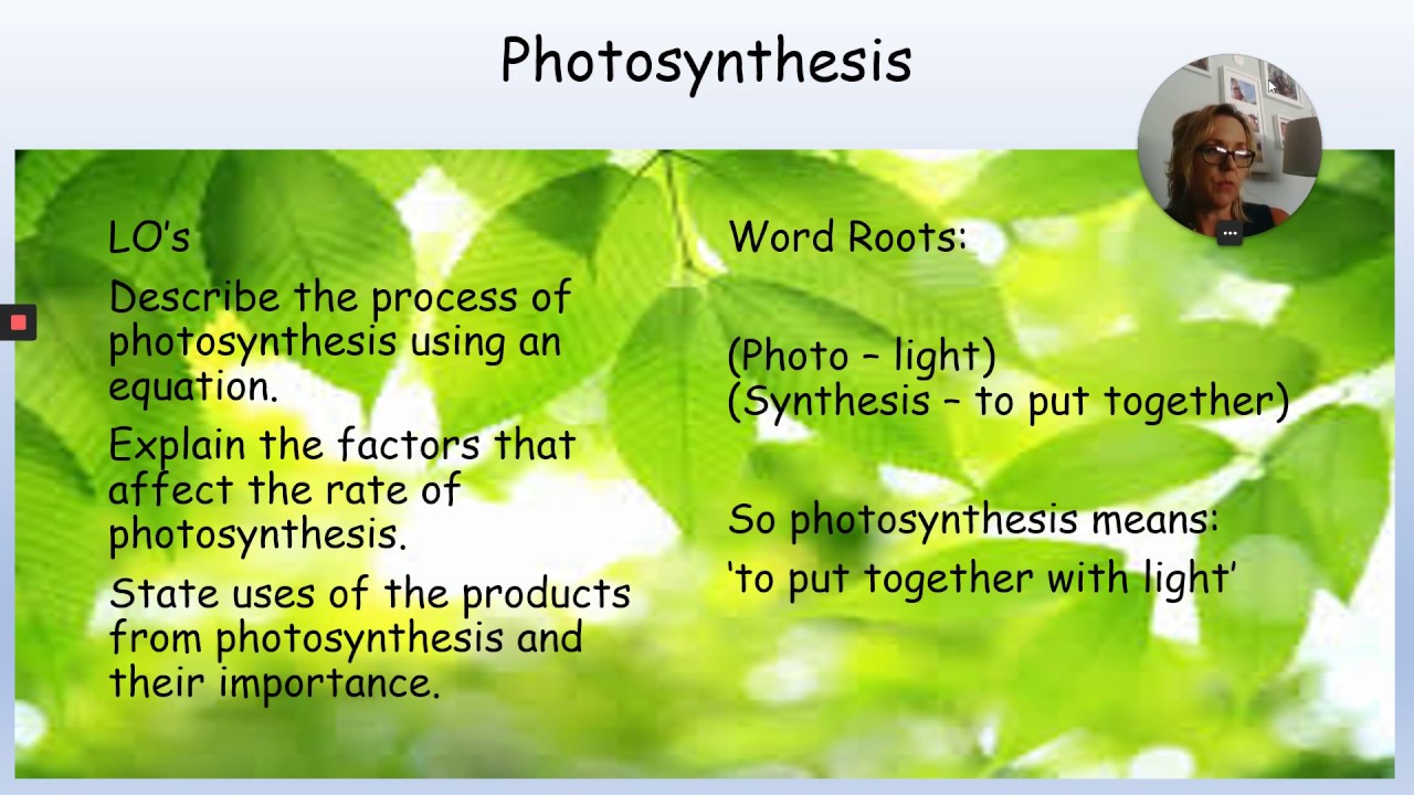 Year 9 Biology Photosynthesis - YouTube