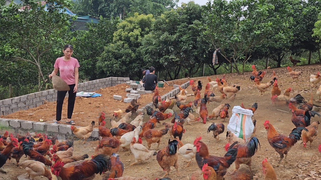Continue selling specialty chicken at the market. 300 chickens were ...