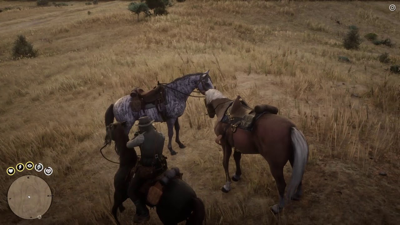 Red Dead Redemption 2- ALL CHEAT CODES UNLOCKED - YouTube