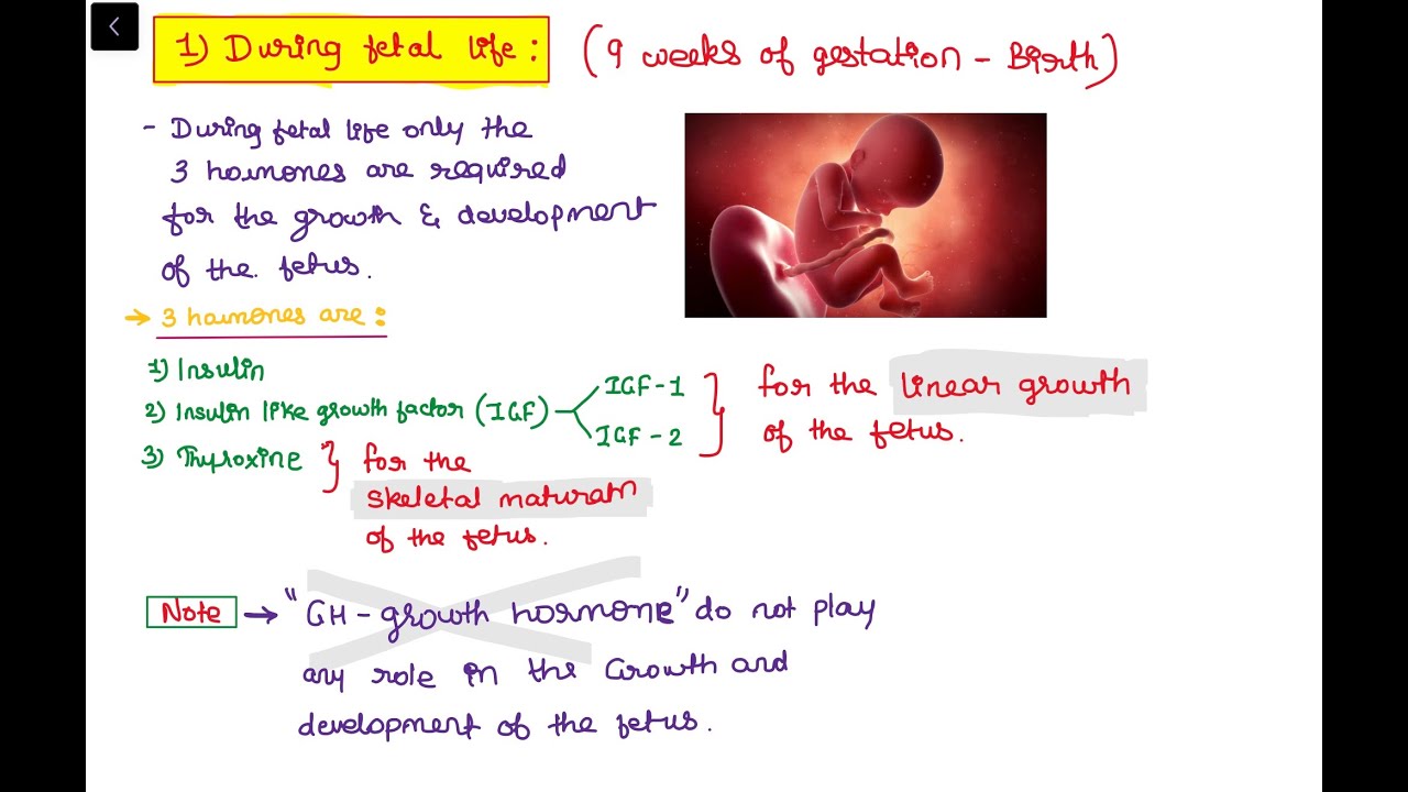 Factors/Hormones required for the growth and development of new born. # ...