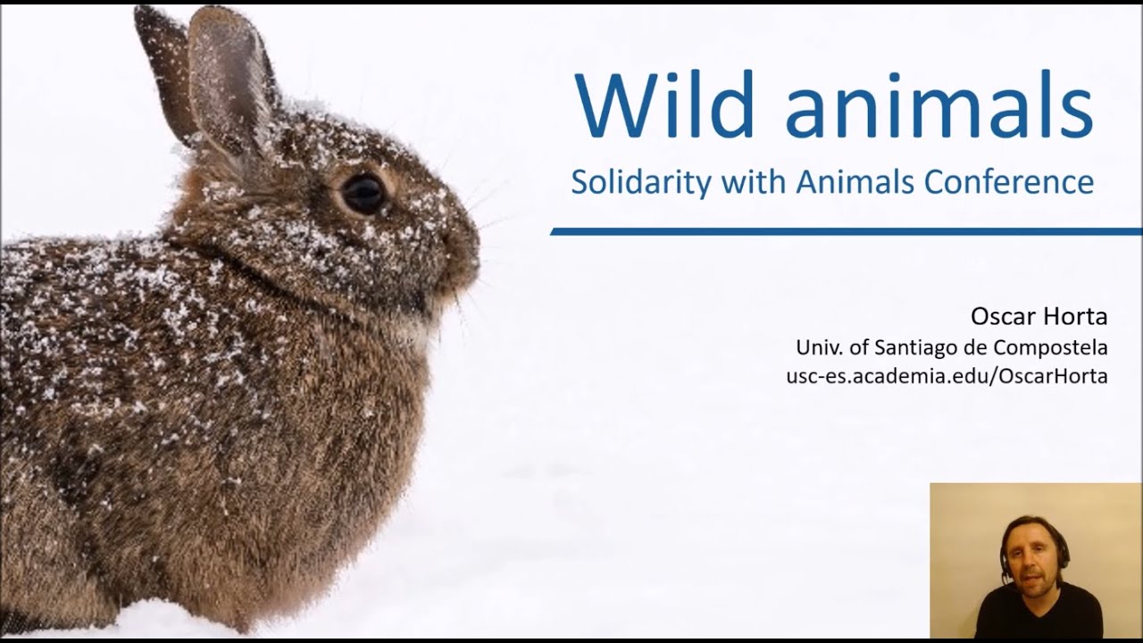 Wild Animals presentation at the Solidarity with Animals Conference ...